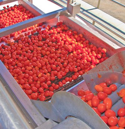 Premium Sun-Dried Tomatoes - Valley Sun Products, Inc.